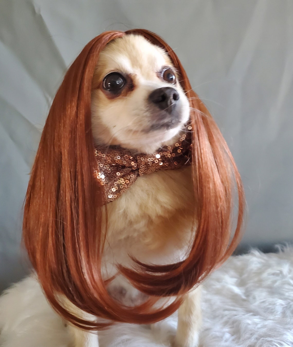 Cute Pet Wig for Dog or Cat/halloween Dog Wig/costume Cat - Etsy