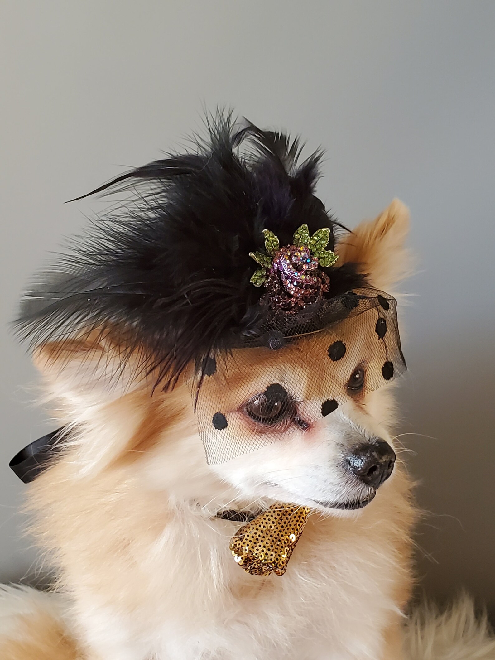 Gold Color Hat With Feather and Flower for Dog or Cat - Etsy