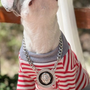 Supper Cute Dog Neck Chain Silver Color/ Jewelry for Pet /jewelry ...