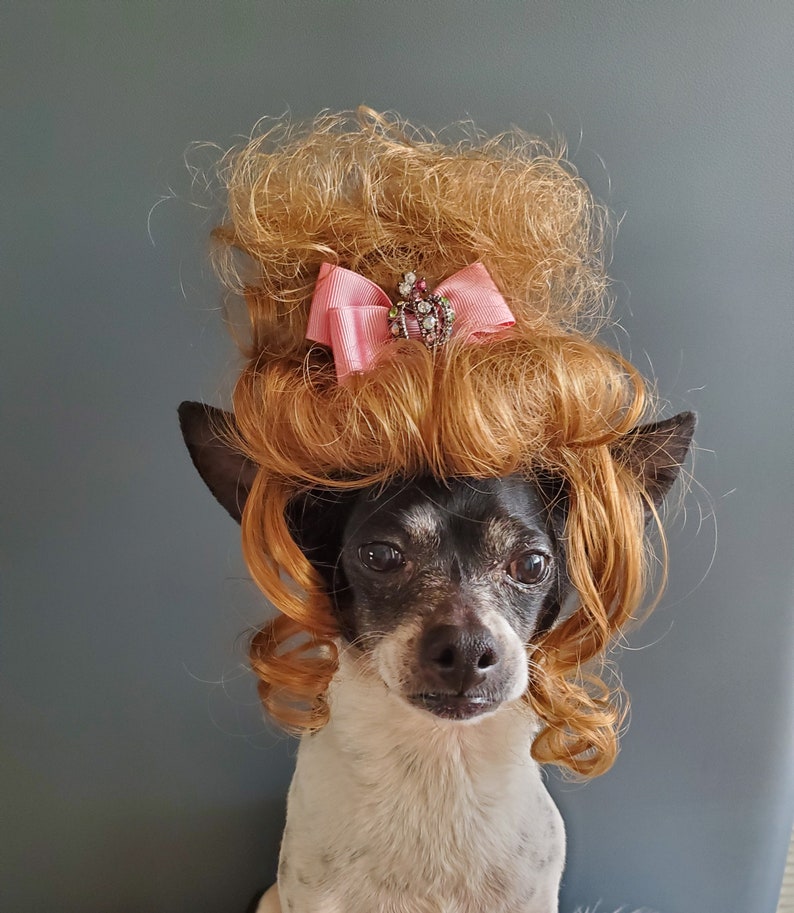 Marie Antoinette Pet Wig: Halloween Costume for Dog or Cat - Etsy