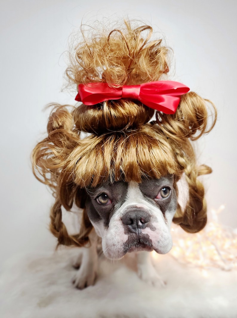 Cindy Lou Pet Wig: Handmade Dog Halloween Costume - Etsy