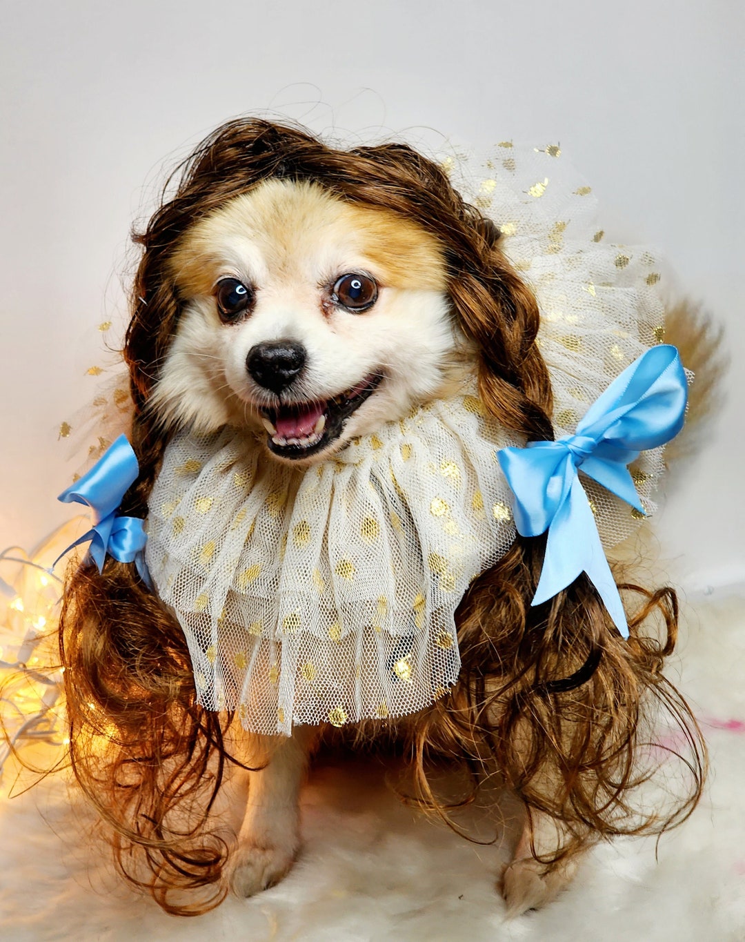 The Wizard of Oz Dorothy Brown Color Pet Wig/dorothy Dog Wig/ - Etsy