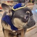 DOG KIPPAH Hanukkah Hat and Bow Set for Dog or Cat/hanukkah Dog Gift ...