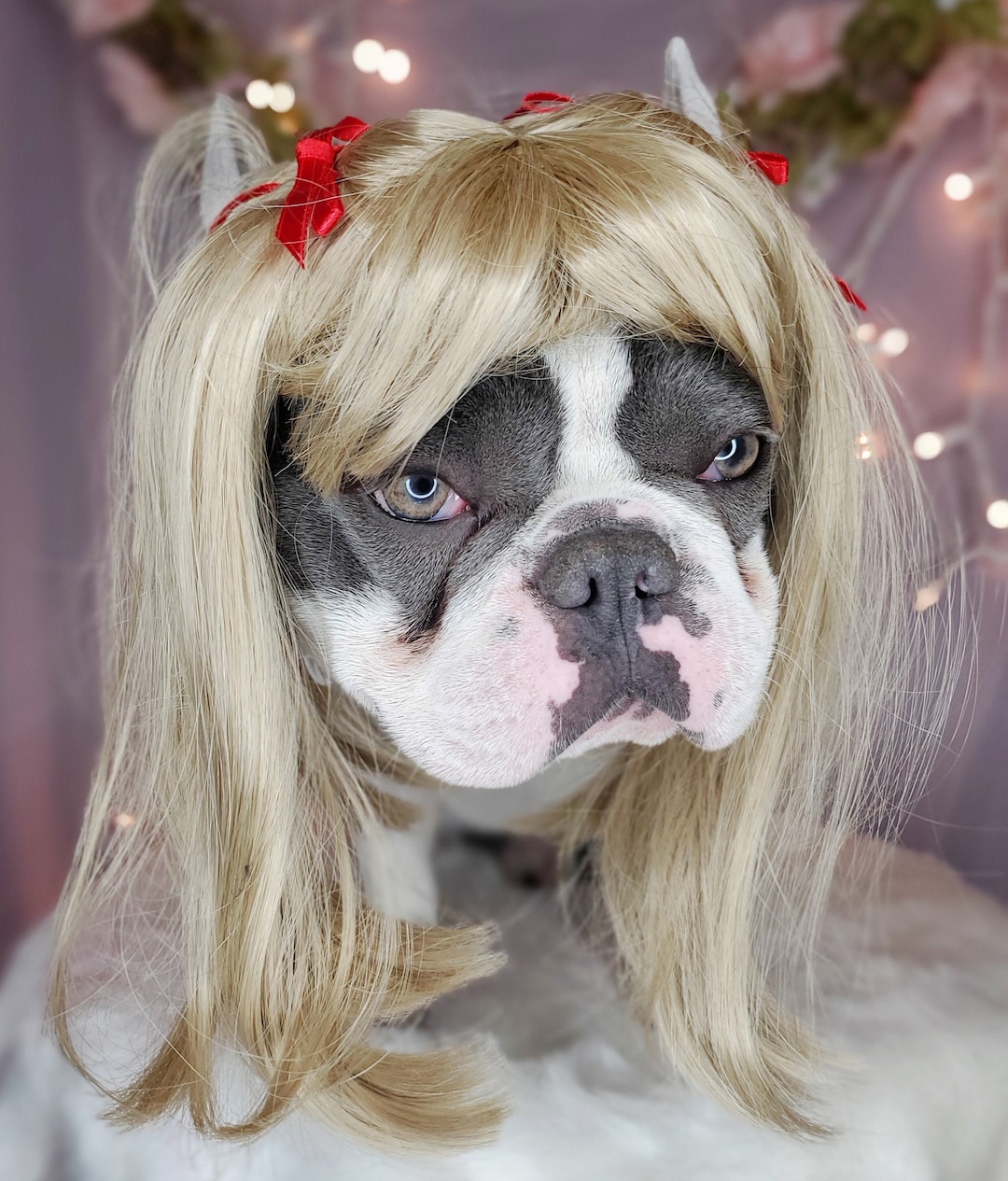 Cute Pet Wig /blond Wig for Pets /wig for Large Dog / Halloween Dog Wig ...