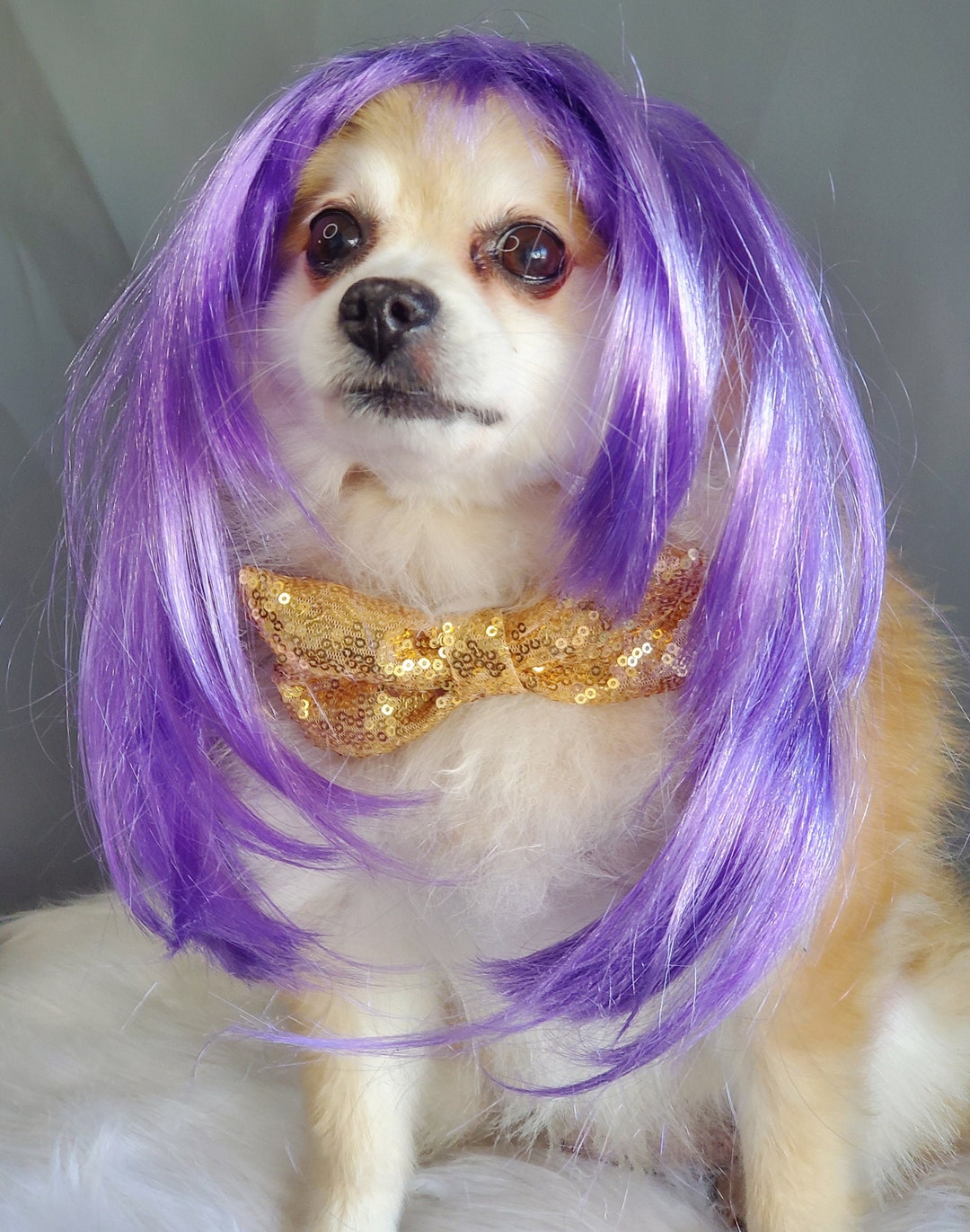 Lavender Color Pet Wig for Dog or Cat Small Animals / Wig for Dog ...