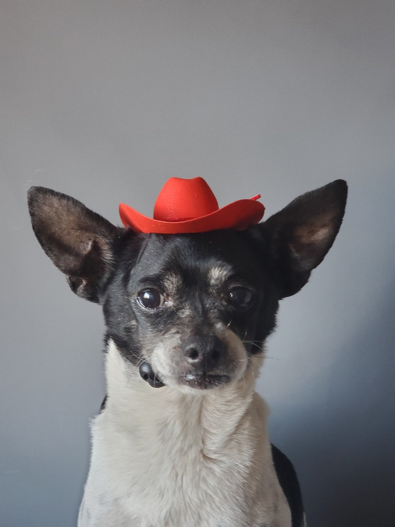 Cowboy Hat for Dog or Cat Red Color/cowboy Dogs Costume/cowboy | Etsy