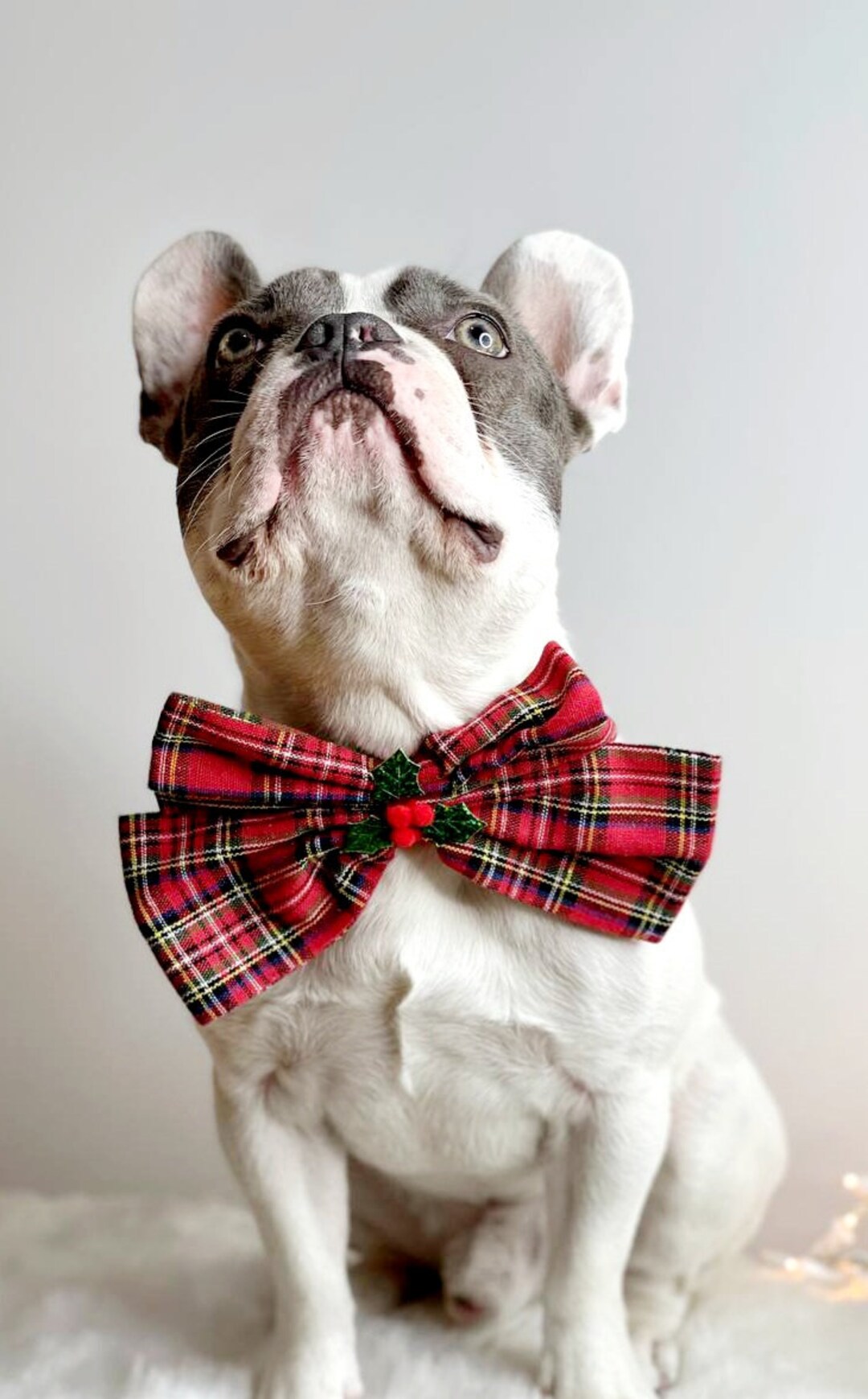 Christmas Dog Bow Tie | Red Plaid Holiday Pet Necktie - Etsy