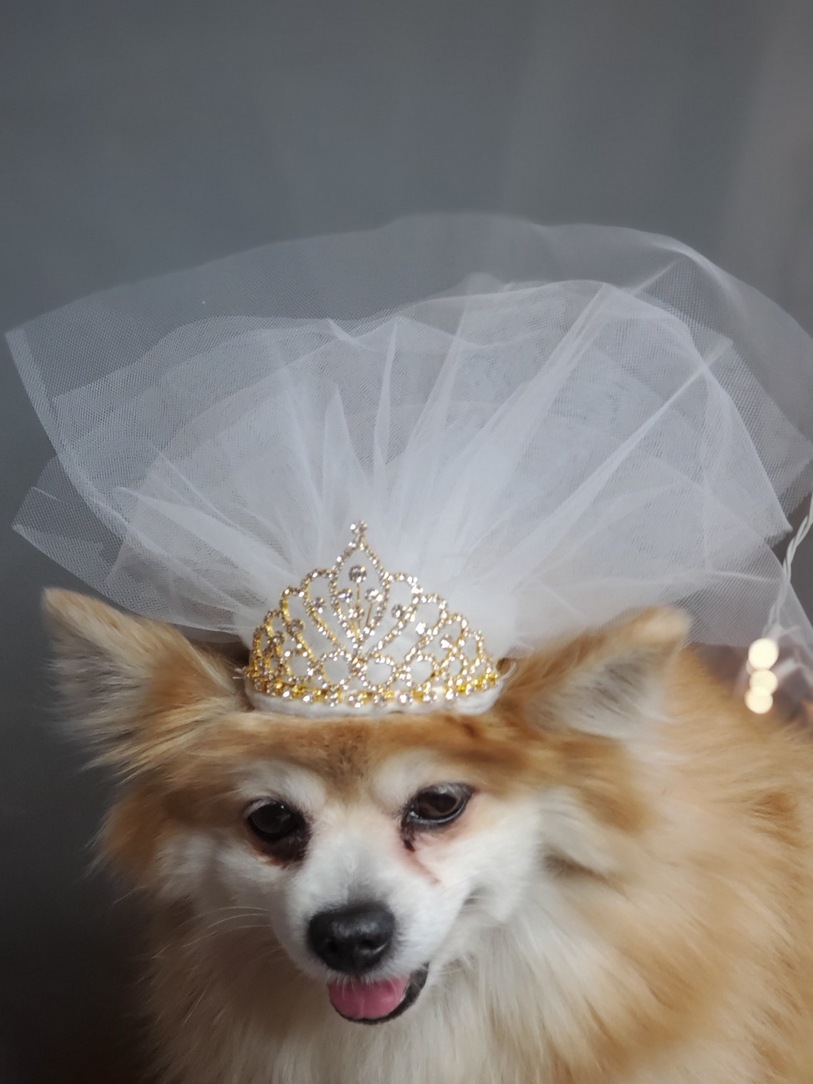 Small pet Veil /Veil for pet/ Cute bridal veil with white | Etsy