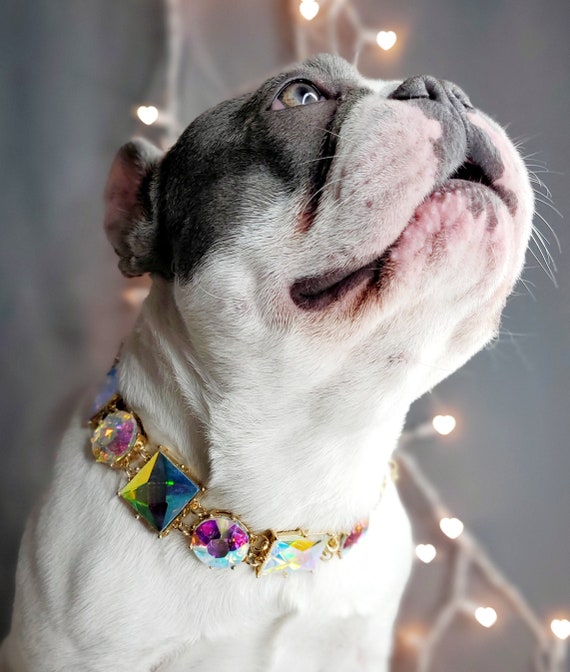 Supper Cute Dog Neck Chain Gold Color/ Jewelry for Pet - Etsy