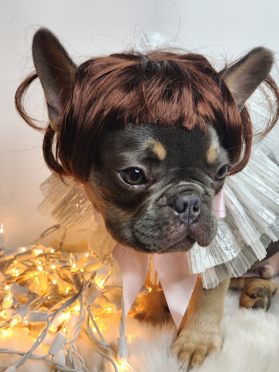 Brown Pet Wig, Adjustable Costume for Dog or Cat - Etsy