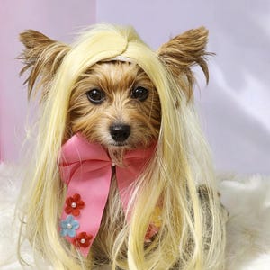 Cute Pet Wig, Halloween Costume for Dog or Cat - Etsy