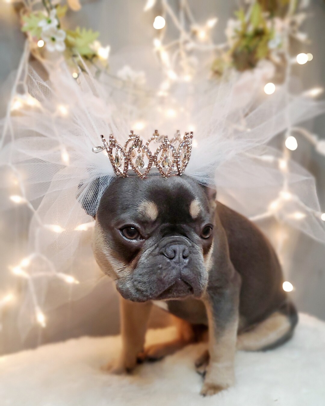 Crown With Veil for Dog or Cat /princess Dog Crown / Crown for Dog ...