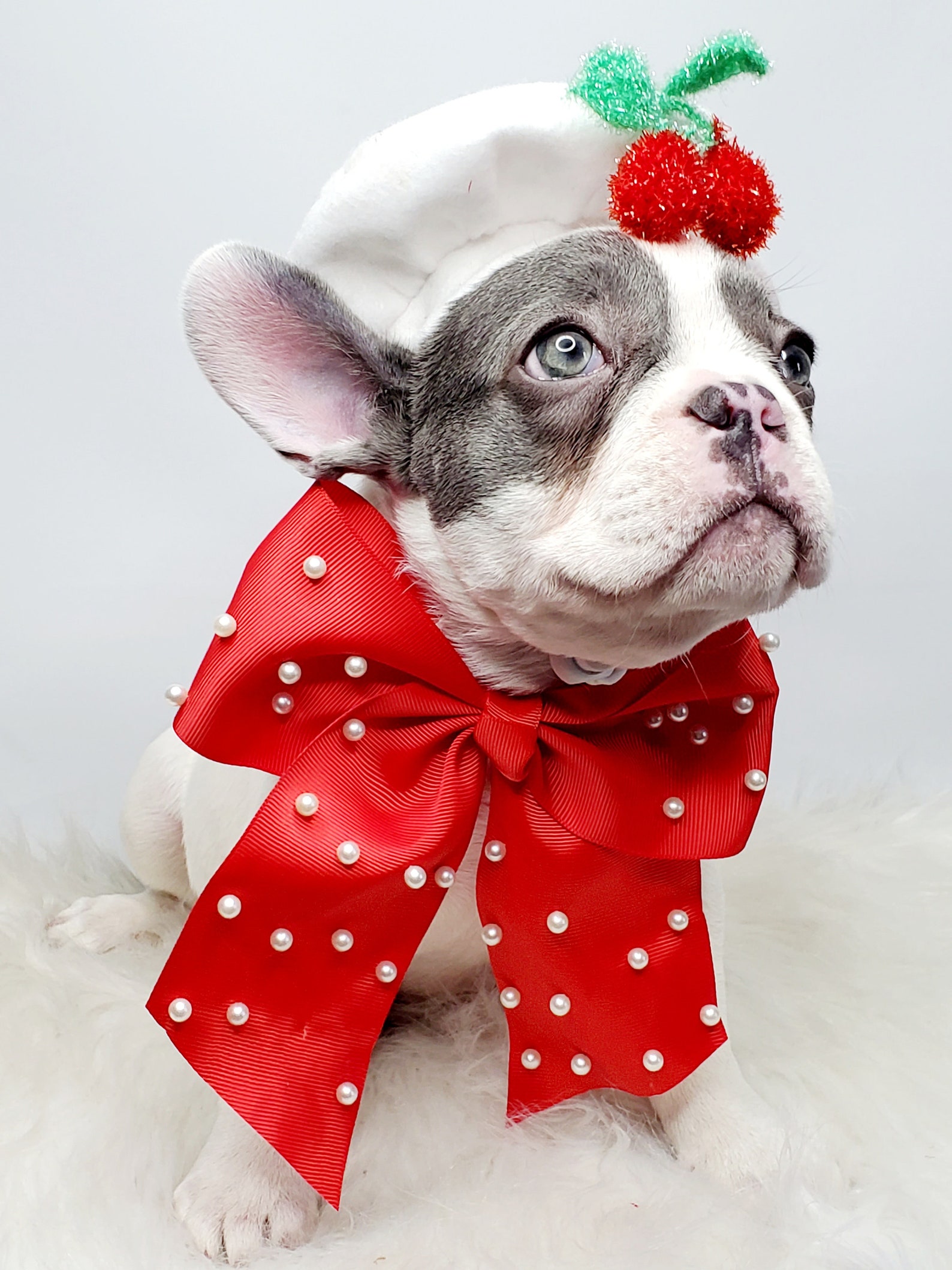 White Color Beret Hat for Dog or Cat Small Animal Doll /beret - Etsy