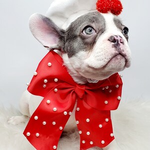 White Color Beret Hat for Dog or Cat Small Animal Doll /beret for Cat ...