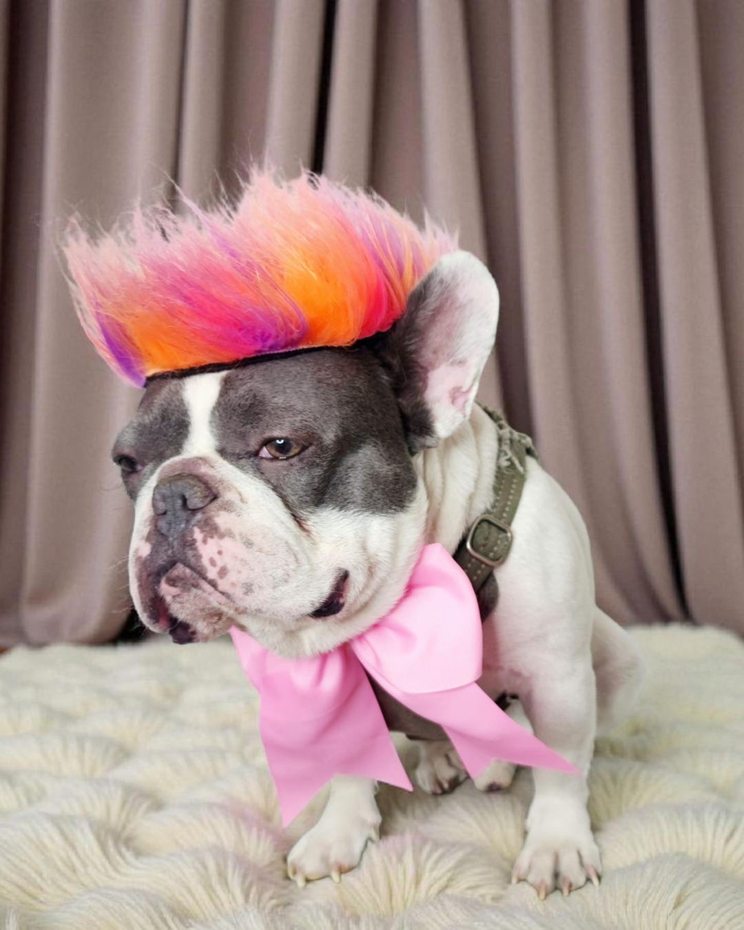 Dog Mohawk Wig – Halloween Costume, Pet Cosplay - Etsy