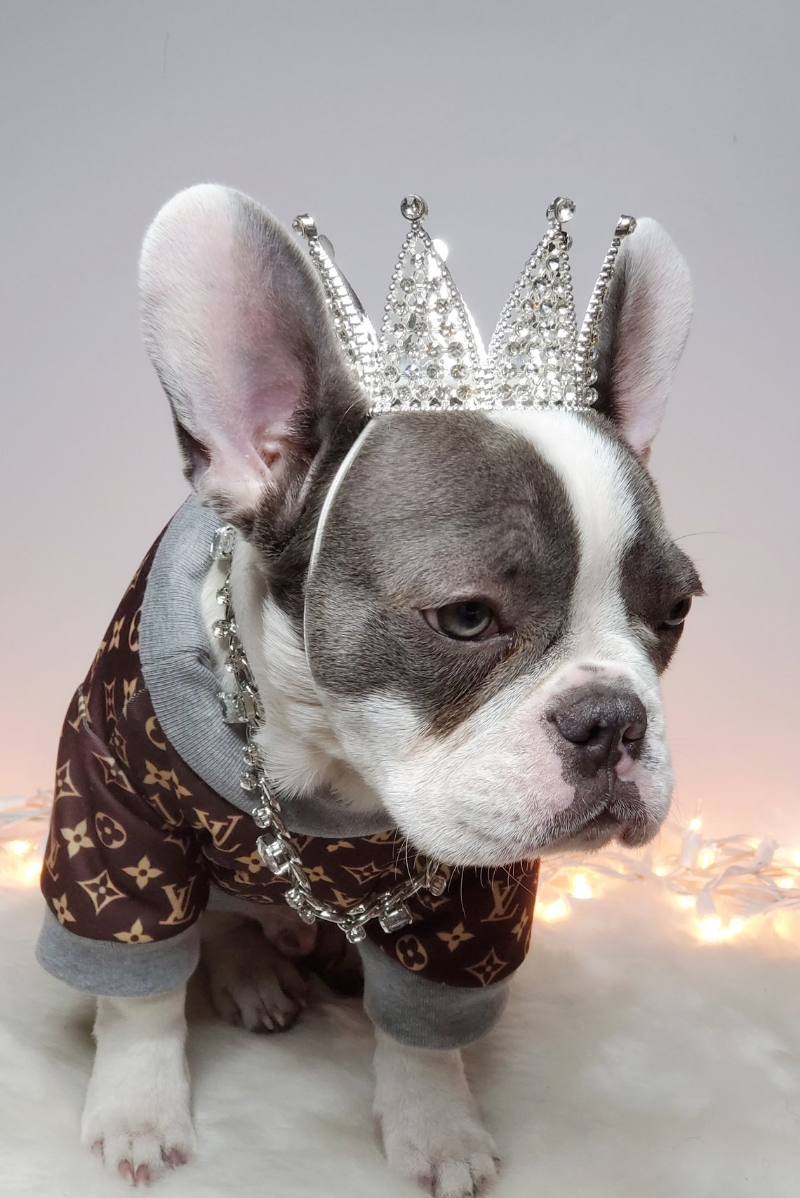Crown for Dog or Cat /princess Dog Crown / Crown for Dog - Etsy