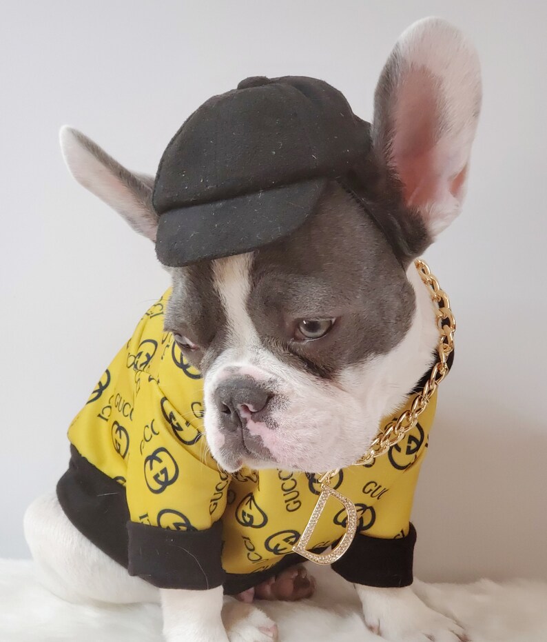 Cap for Pet/cute Hat Grey Color for Dog or Cat Small Animal | Etsy