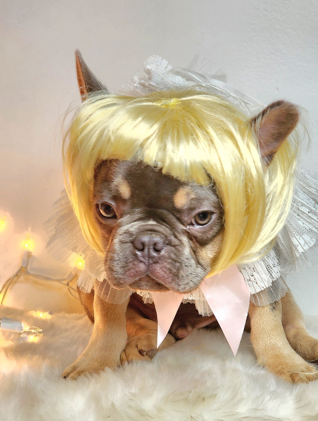 Halloween Pet Wig for Dog or Cat: Adjustable Costume - Etsy
