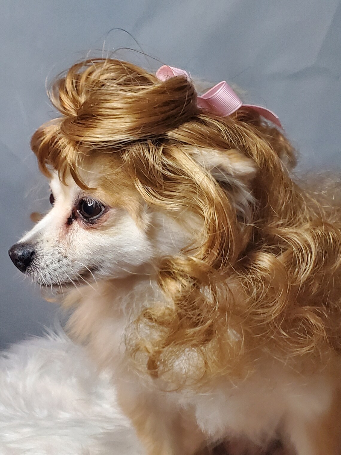 Pet Wig Brown Color for Dog or Cat /dog Costume / Cat Costume / Pet ...