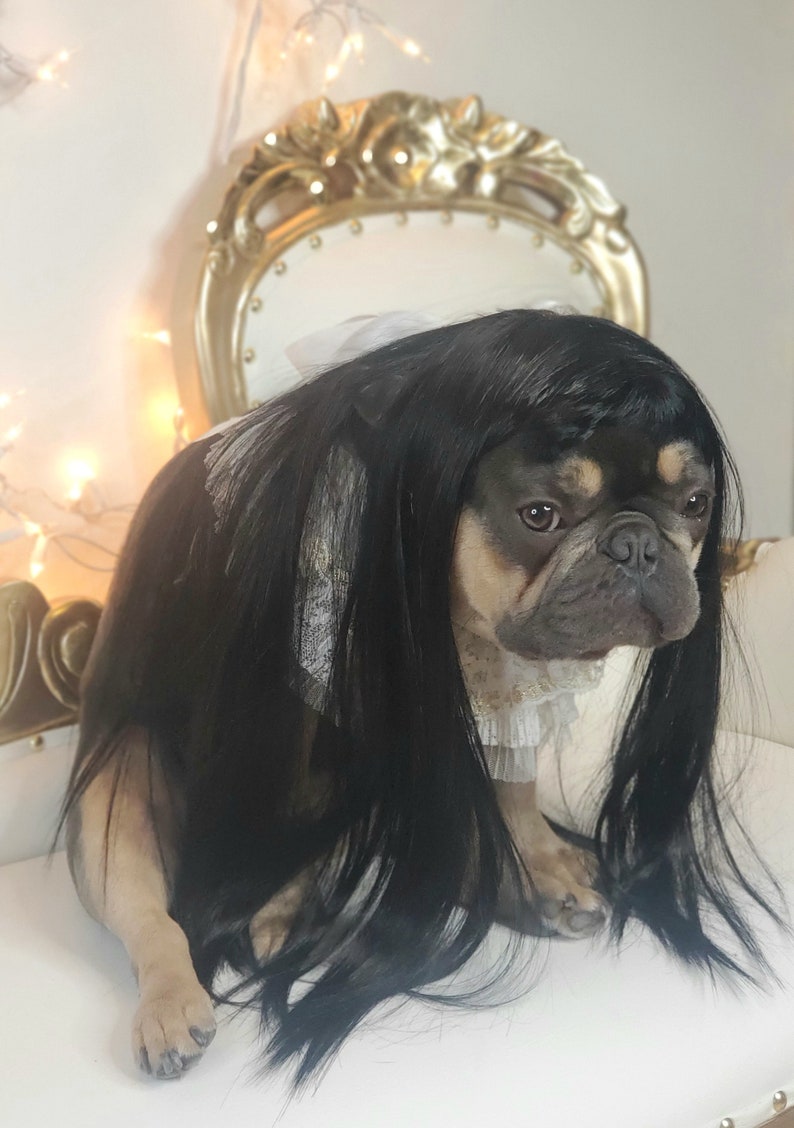 Black Pet Wig - Dog or Cat Costume, Adjustable Fit - Etsy