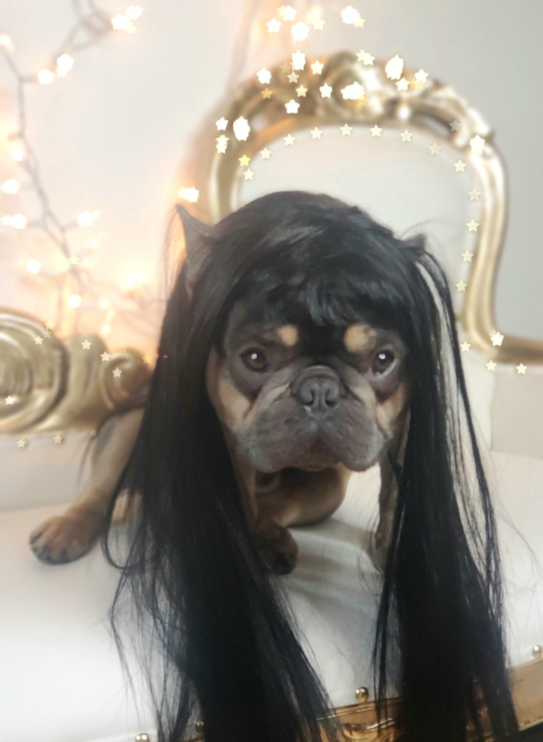 Black Pet Wig - Dog or Cat Costume, Adjustable Fit - Etsy