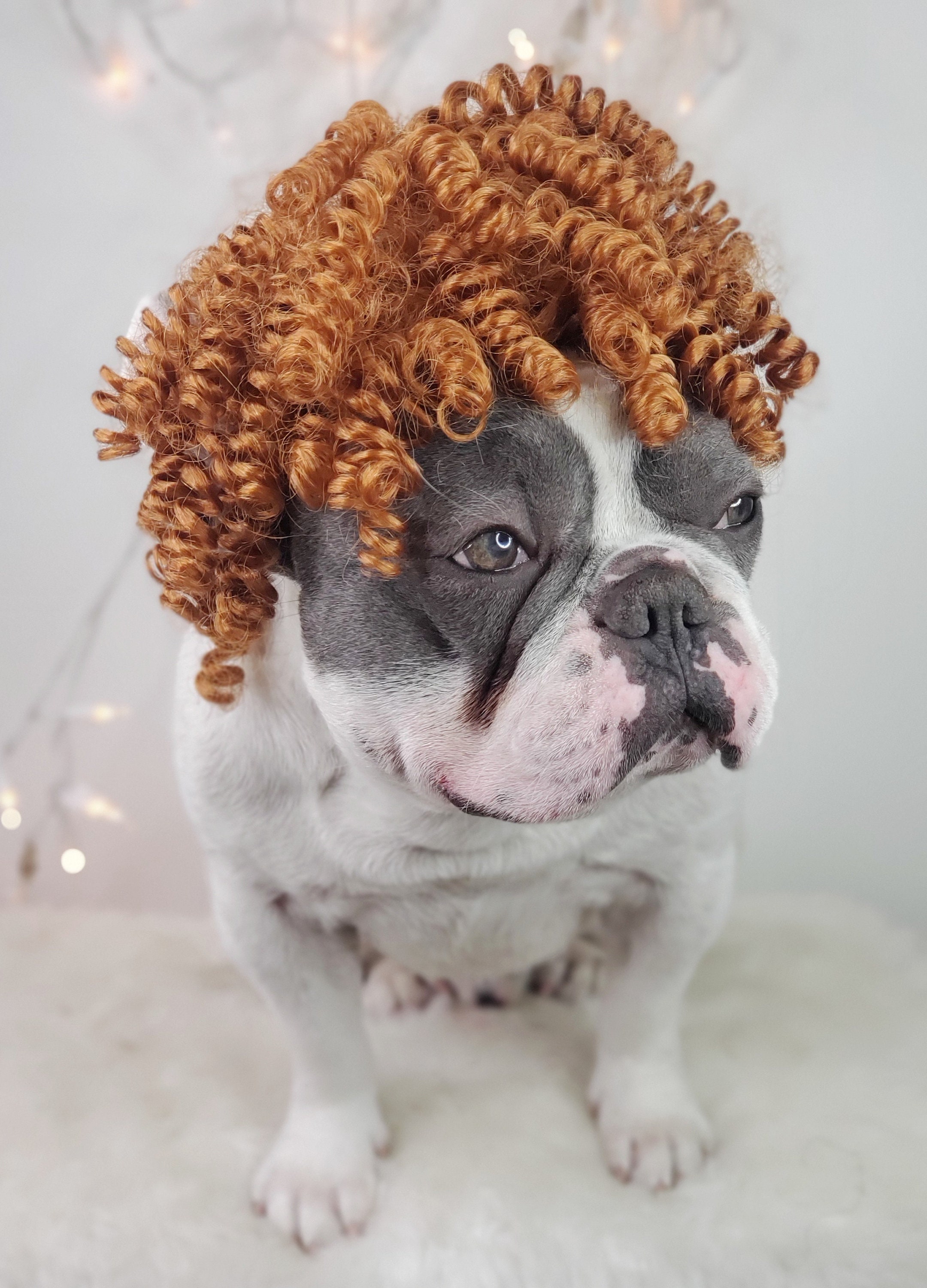 Large Brown Dog Wig, Halloween Costume, Pet Accessory - Etsy