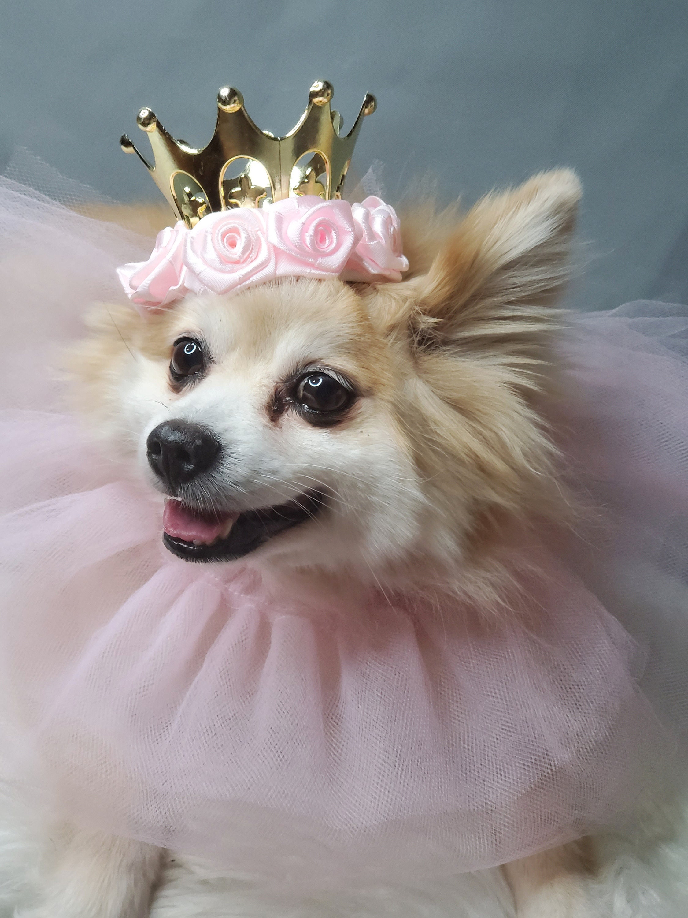 Gold Crown With Pink Collar Tie for Dog or Cat /princess Set/ - Etsy