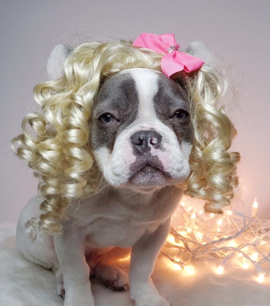 Cute Pet Wig /wig for Dog or Cat / Halloween Dog Wig / Costume Dog Wig ...
