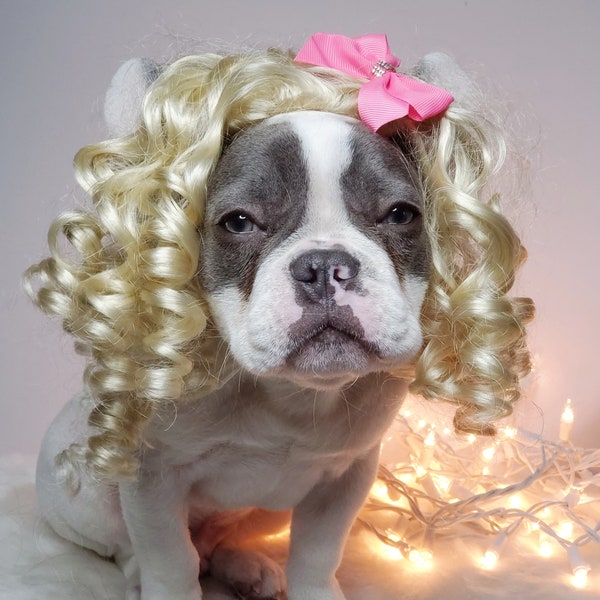 Powdered Wig - Etsy