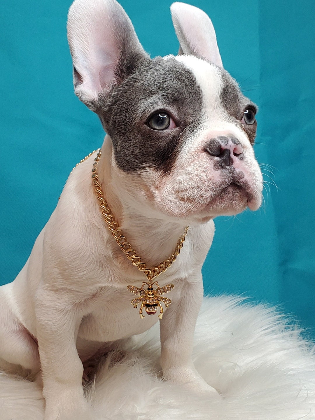 Supper Cute Dog Neck Chain Gold Color/pets Jewelry/ - Etsy