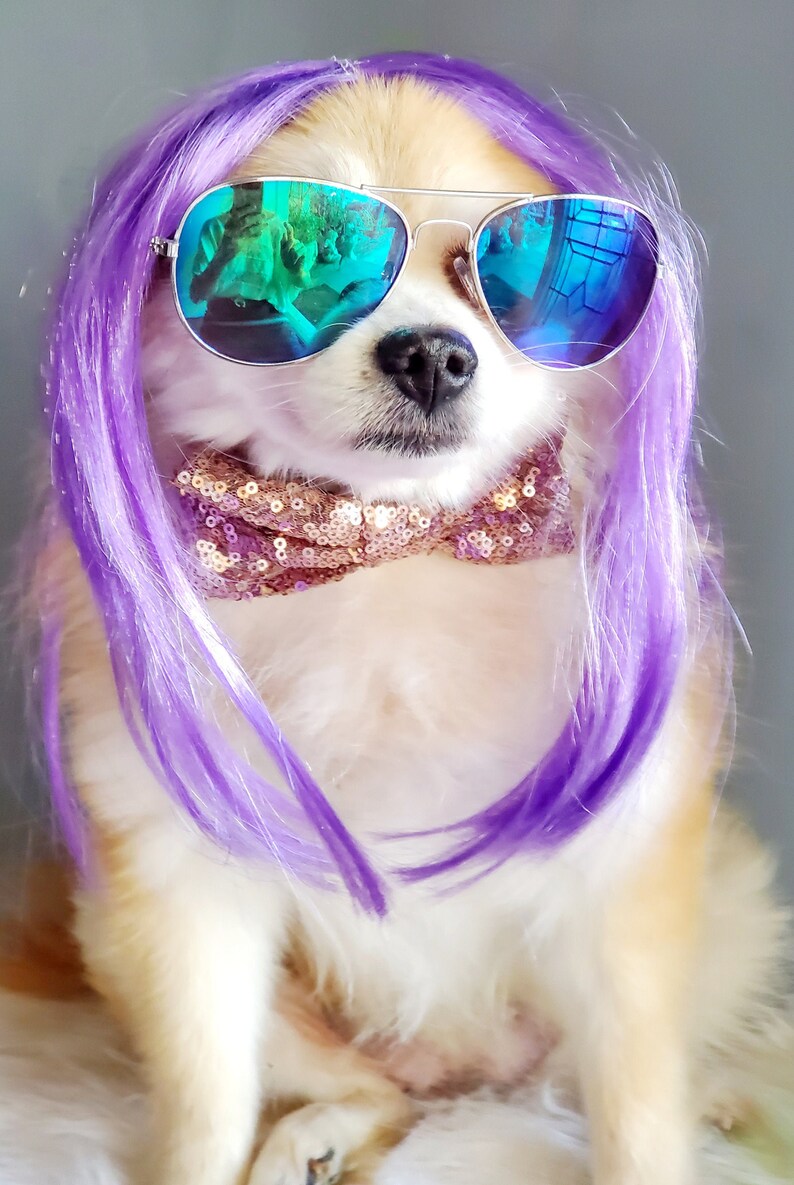 Lavender Color Pet Wig for Dog or Cat Small Animals - Etsy