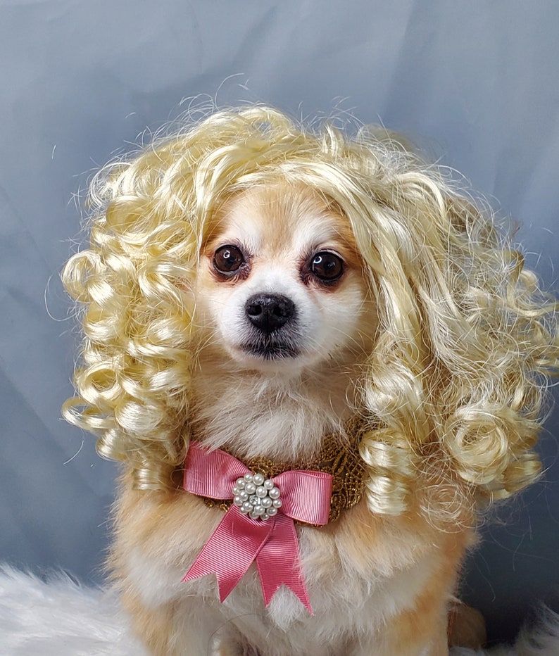 Pet Wig Blond Color for Dog or Cat/halloween Dog Wig - Etsy