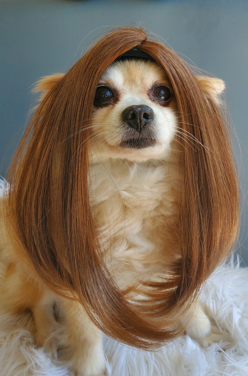 Cute Pet Wig for Dog or Cat / Halloween Pet Wig / Costume Dog Wig /dog ...
