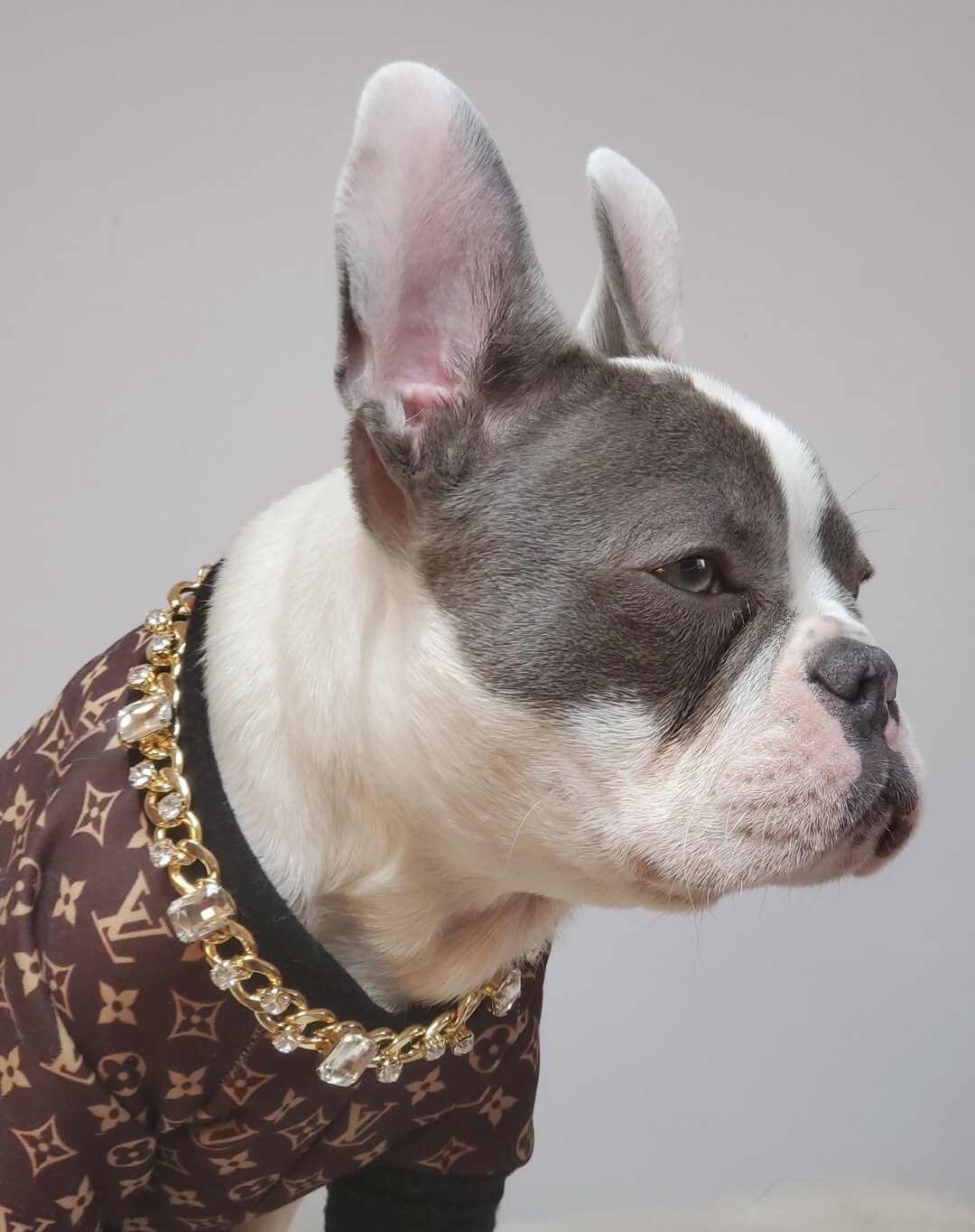 Supper Cute Dog Neck Chain Gold Color/ Jewelry for Pet /jewelry Collar ...