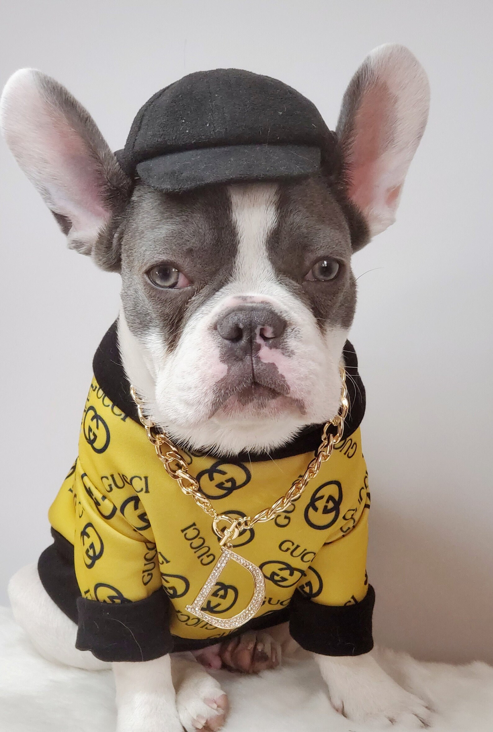 Cap for Pet/cute Hat Grey Color for Dog or Cat Small Animal | Etsy