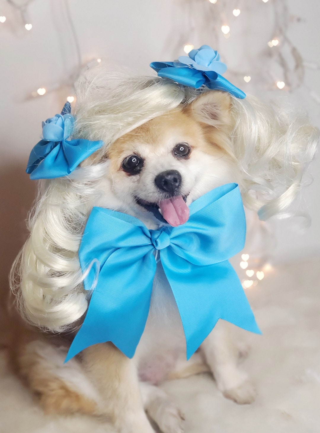 Pet Wig With Bow - Dog or Cat Costume - Etsy
