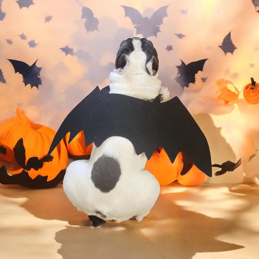 Bat Wings for Dog/ Costume for Pets / Halloween Costume/dog Costume/bat ...