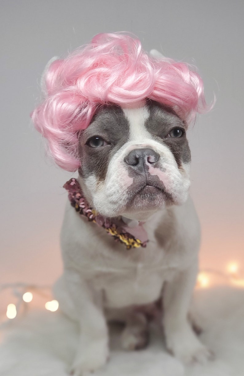 Pink Pet Wig for Dog or Cat, Halloween Costume - Etsy