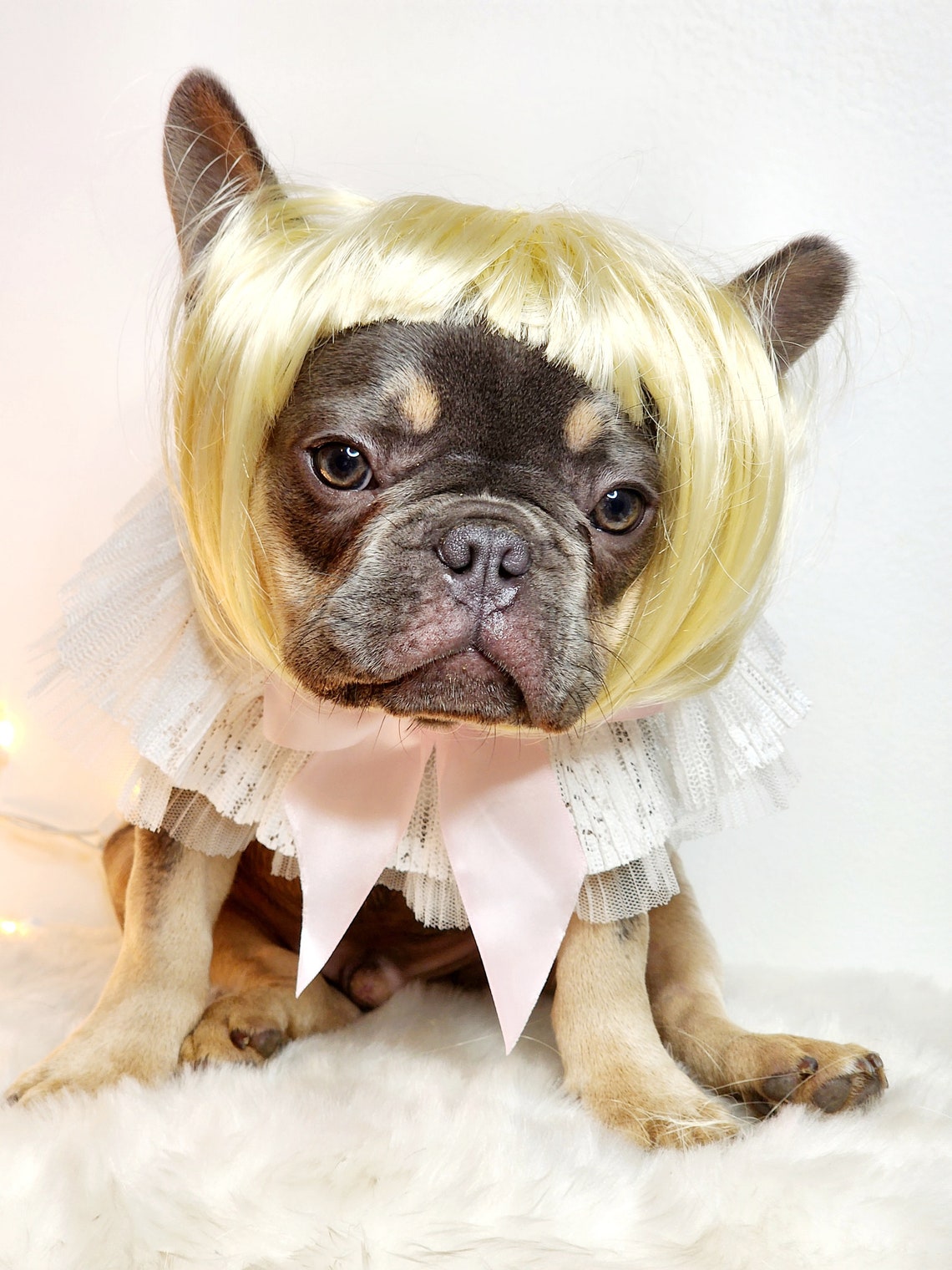 Pet Wig for Dog or Cat/halloween Dog Wig / Pet Costume / - Etsy