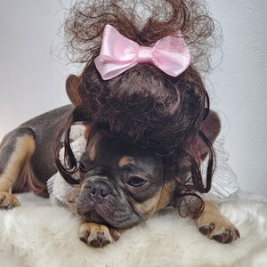 Marie Antoinette Pet Wig, Brown Costume Wig for Dogs or Cats - Etsy