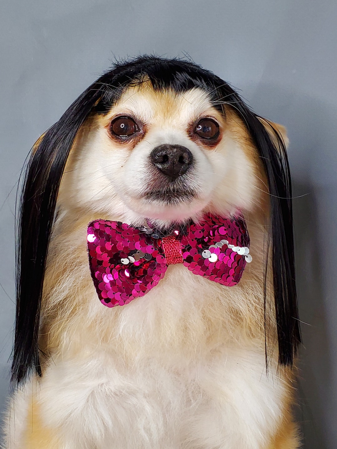 Black Pet Wig for Dog or Cat, Halloween Costume - Etsy