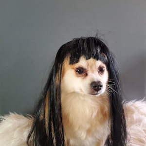 Pet Wig Black Color for Dog or Cat /halloween Costume Wig for Pet / - Etsy