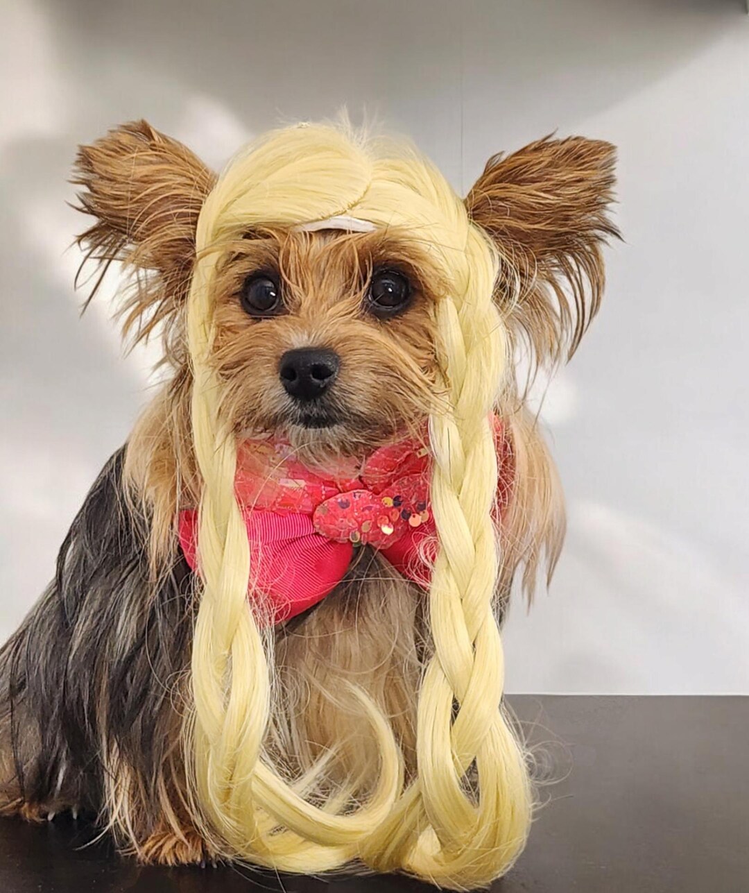 Blonde Braided Pet Wig: Cute Dog/cat Costume, Adjustable Fit - Etsy