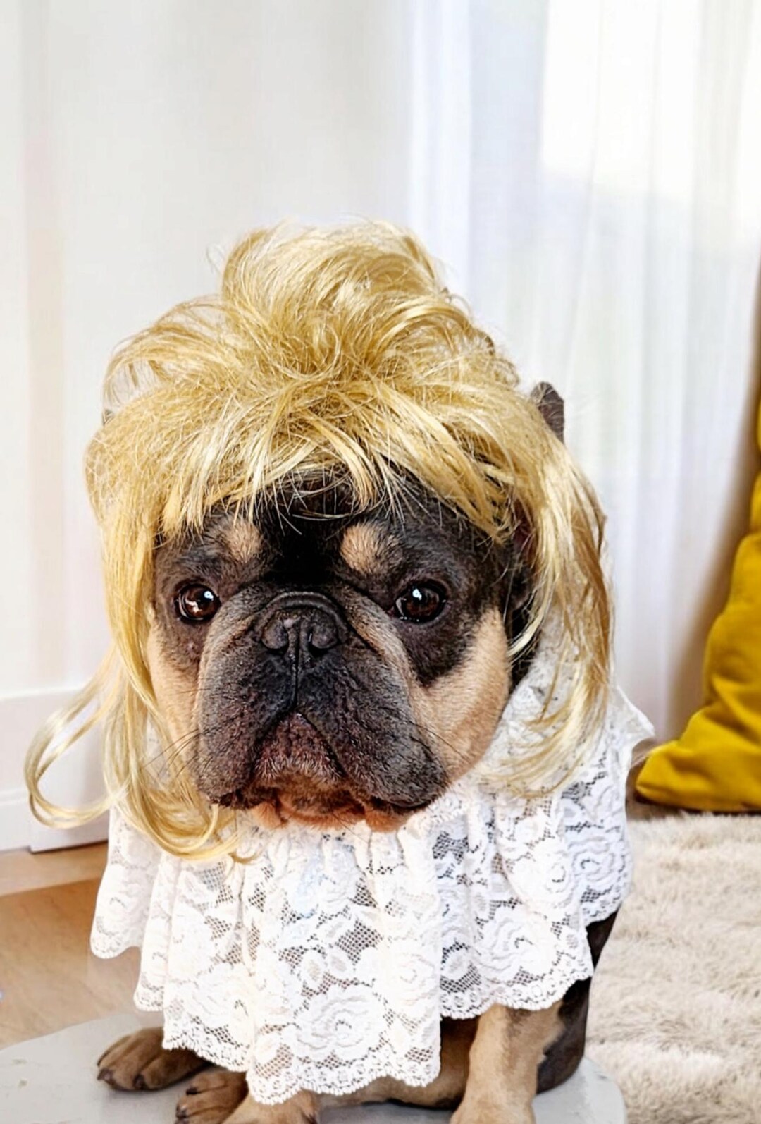 Dog Wig, Adjustable Pet Costume, Elegant Puppy Accessory - Etsy