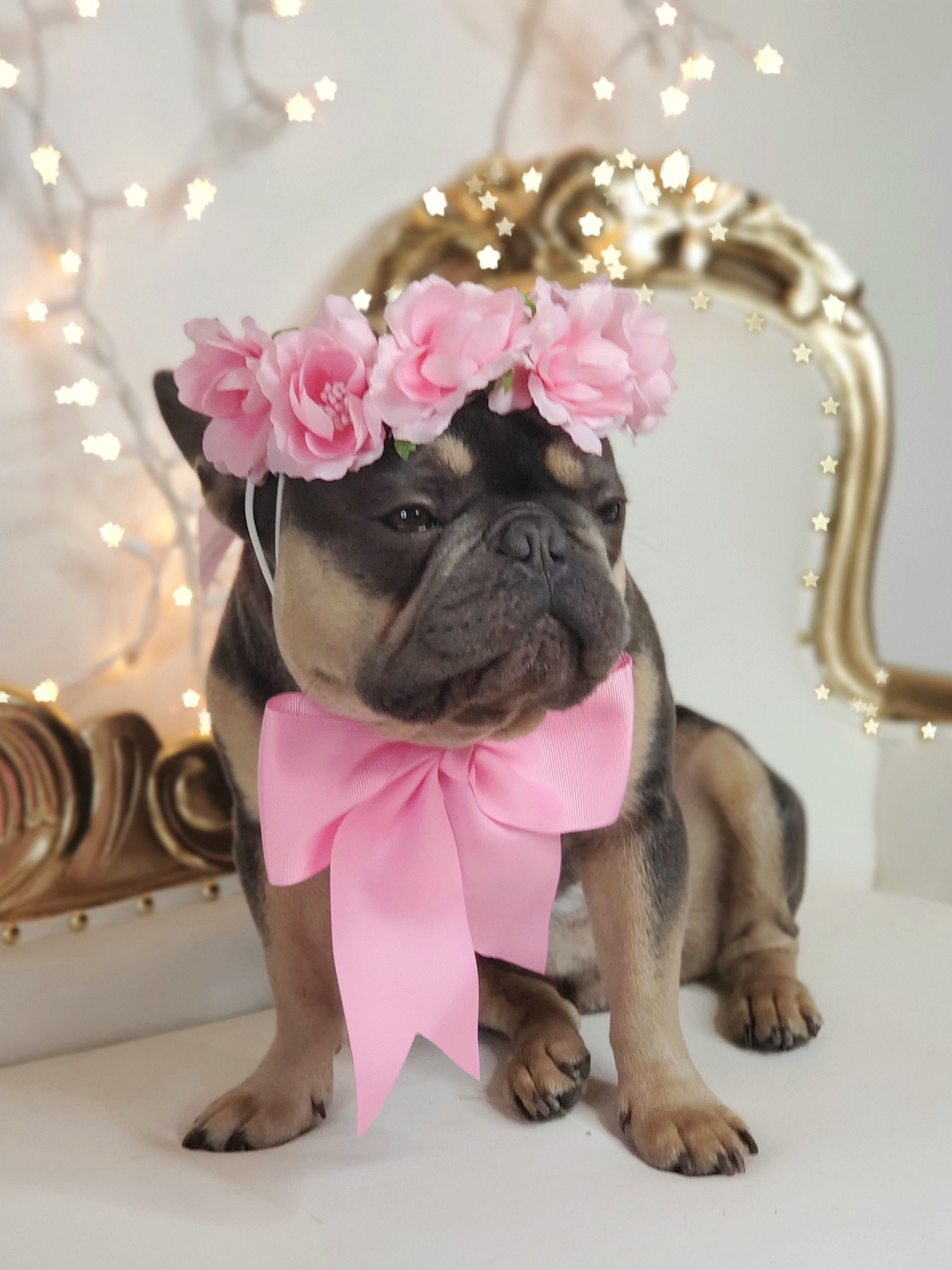 Pet Flower Crown & Bow Tie Set, Elegant Floral Headband for Dogs Cats ...