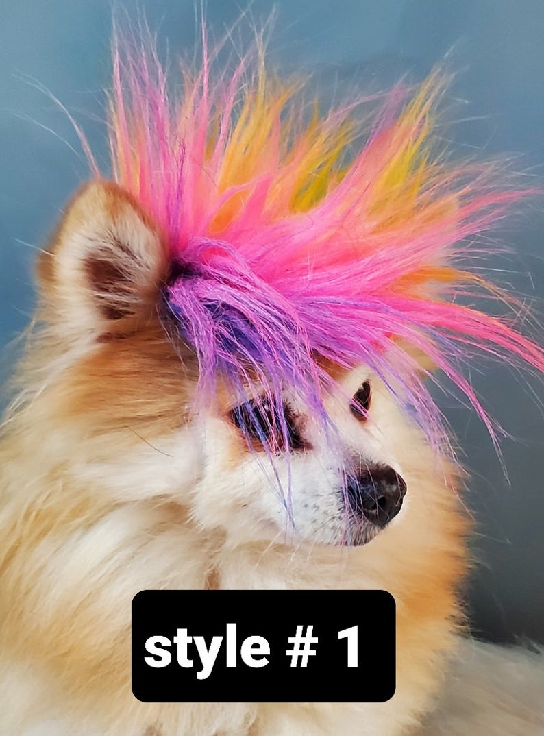Mohawk for your pet / Halloween dog costume /Cat Mohawk / | Etsy