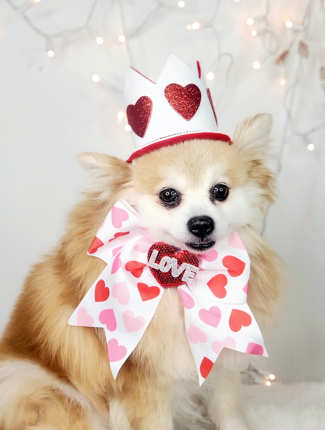Valentines Dog Crown: Heart Princess Pet Crown Set Listing - Etsy