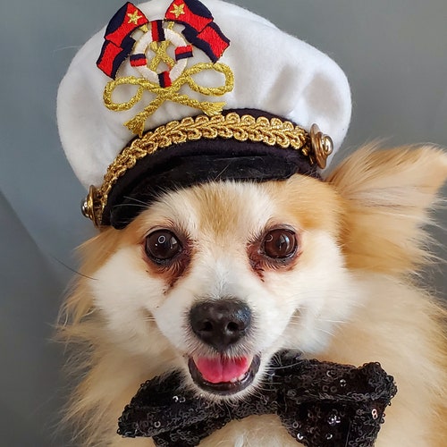 Captain Hat for Dog or Cat Small Animal Doll /halloween Pet - Etsy