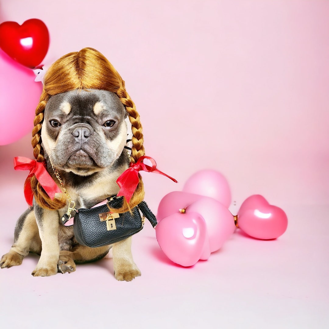 Braided Pet Wig for Dog or Cat, Halloween Costume - Etsy
