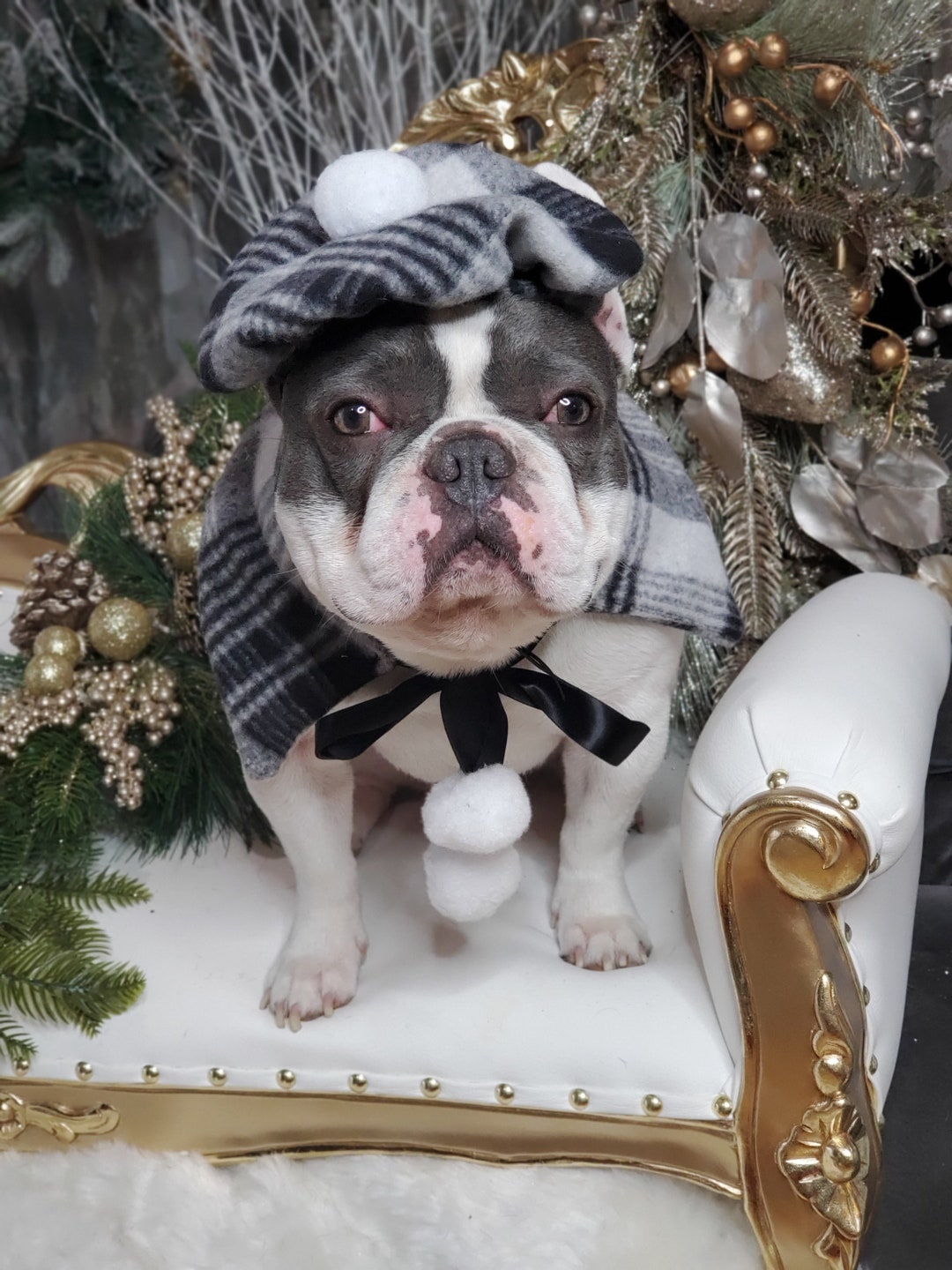 Beret Hat With Cape Dog or Cat /hat for Dogs/beret for Dogs / - Etsy